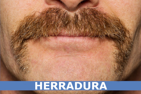 Tipos de Bigote Según la Cara • (Lista Completa + Nombres)